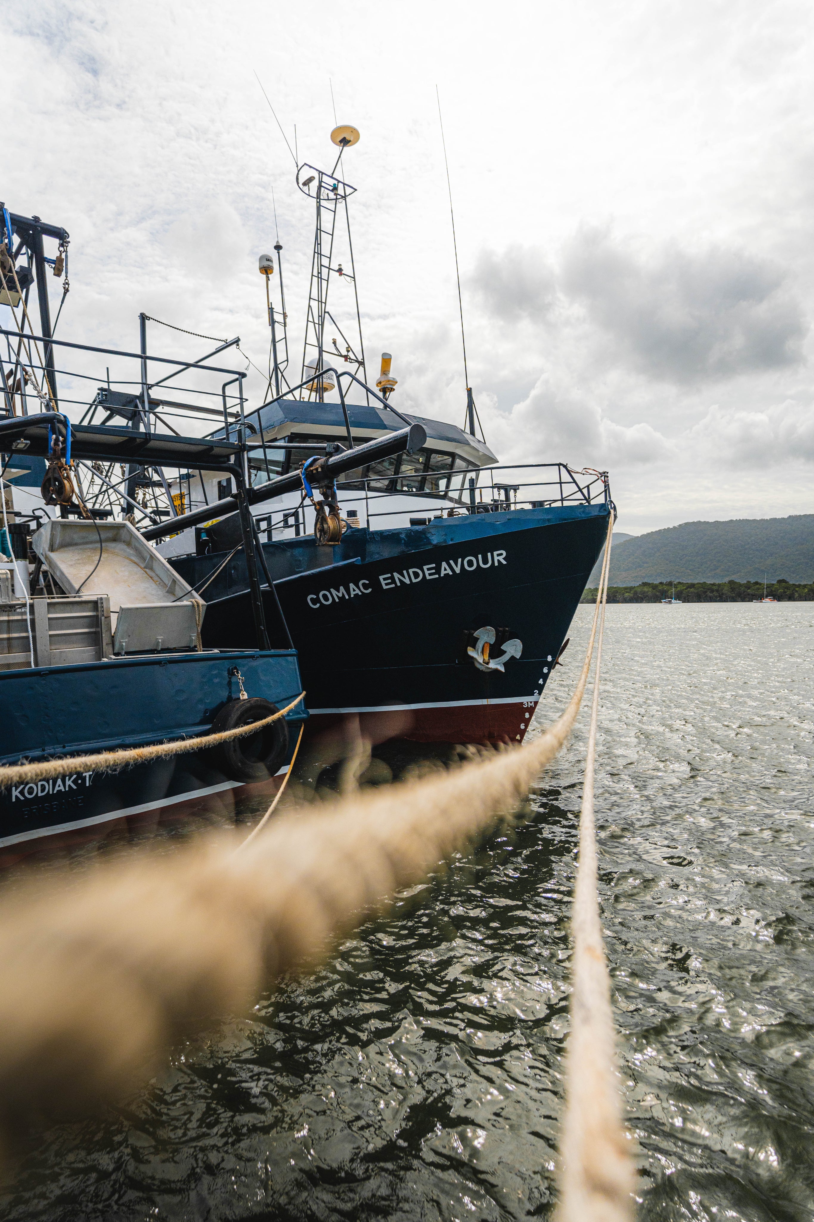 Skull Island Tiger Prawns | Order Now | Skull Island