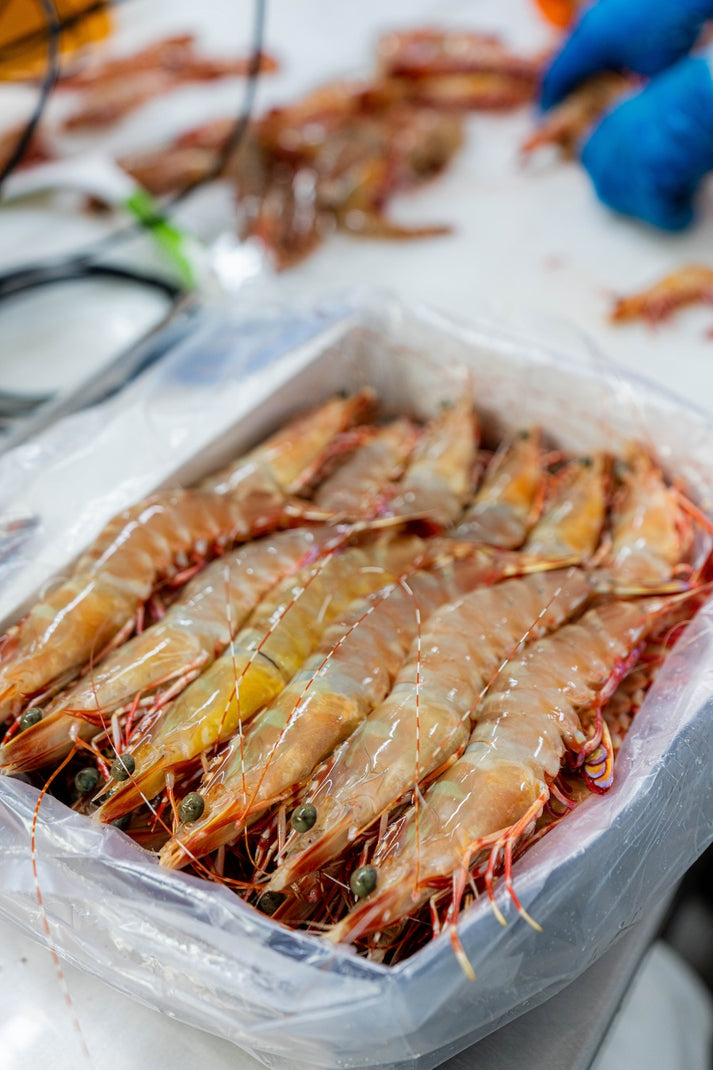 Buy Prawns Online | Delivered Frozen Fresh | Skull Island