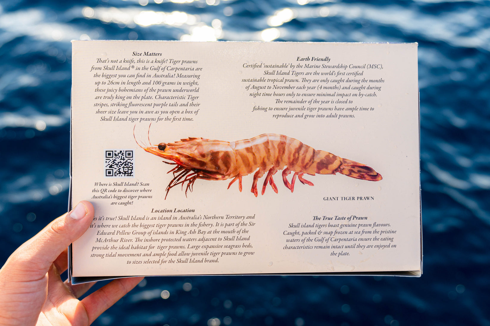 Buy Prawns Online | Delivered Frozen Fresh | Skull Island