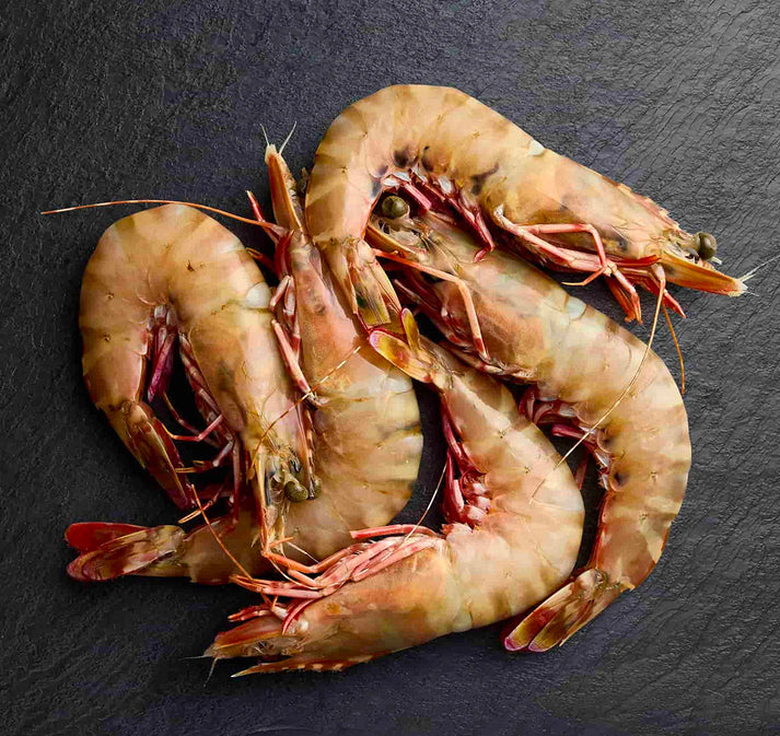 Buy Prawns Online | Delivered Frozen Fresh | Skull Island