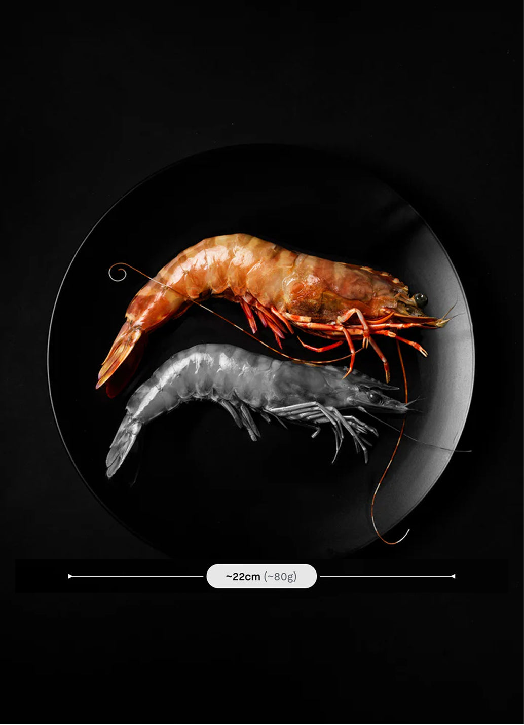 Buy Prawns Online | Delivered Frozen Fresh | Skull Island