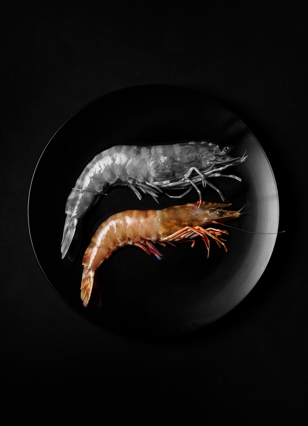 Buy Prawns Online | Delivered Frozen Fresh | Skull Island