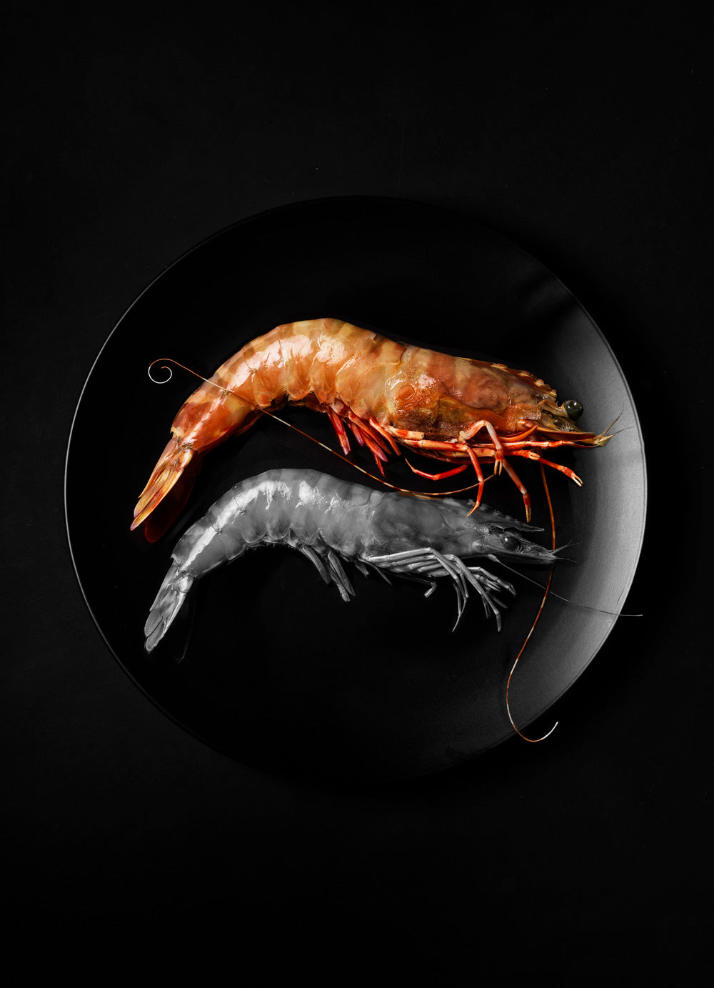 Buy Prawns Online | Delivered Frozen Fresh | Skull Island